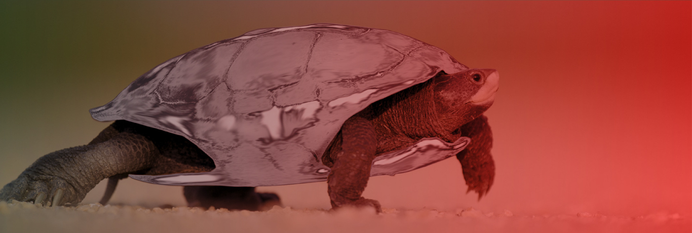 Contact Us Atomicorp Own Your Security Protect Your Data